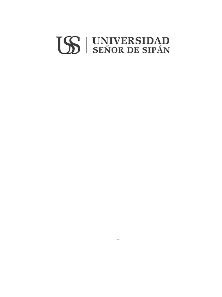 Plan Estrategico - Usp. | PDF | Marketing | Business