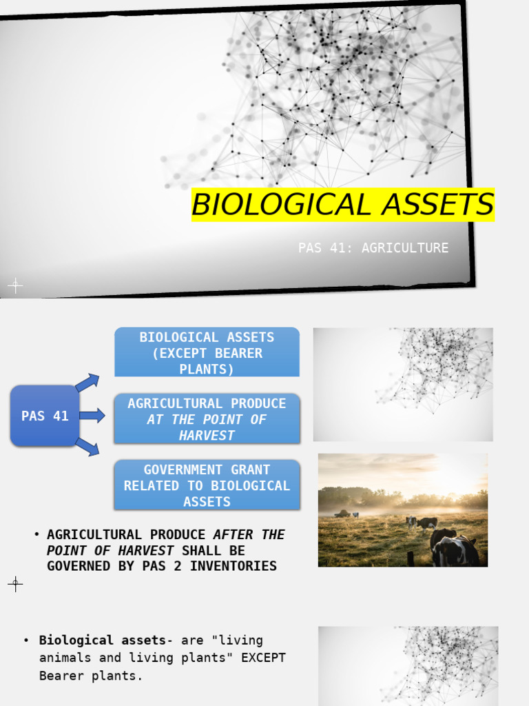11.-Biological-assets | PDF | Economies | Agriculture