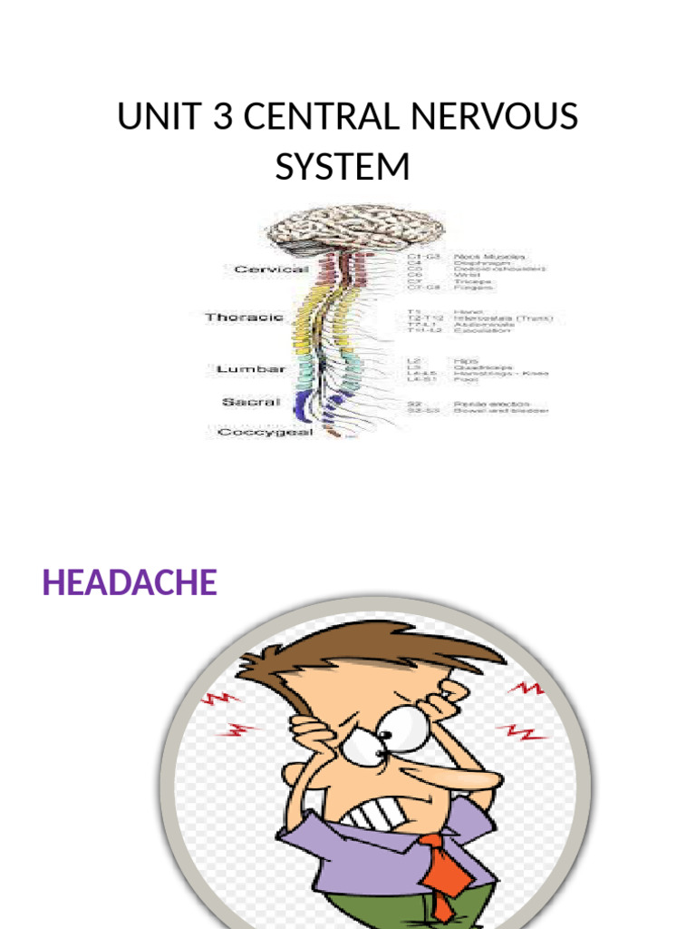 Unit 3 Central Nervous System-1 | PDF | Headache | Migraine