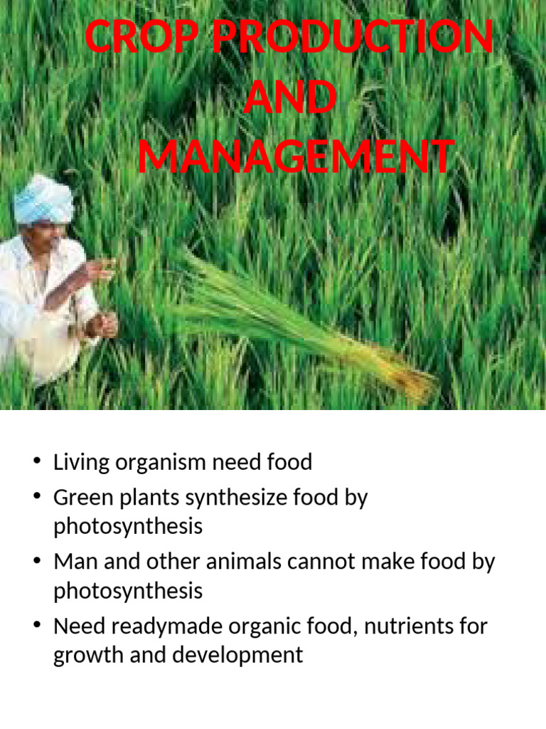 Crop Production and Management Basics | PDF | Soil | Crops