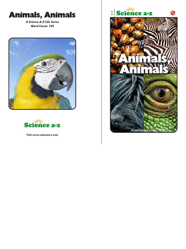 Understanding Animal Diversity | PDF | Reading Comprehension | Zoology