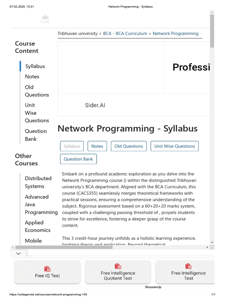 Professi: Network Programming - Syllabus | PDF