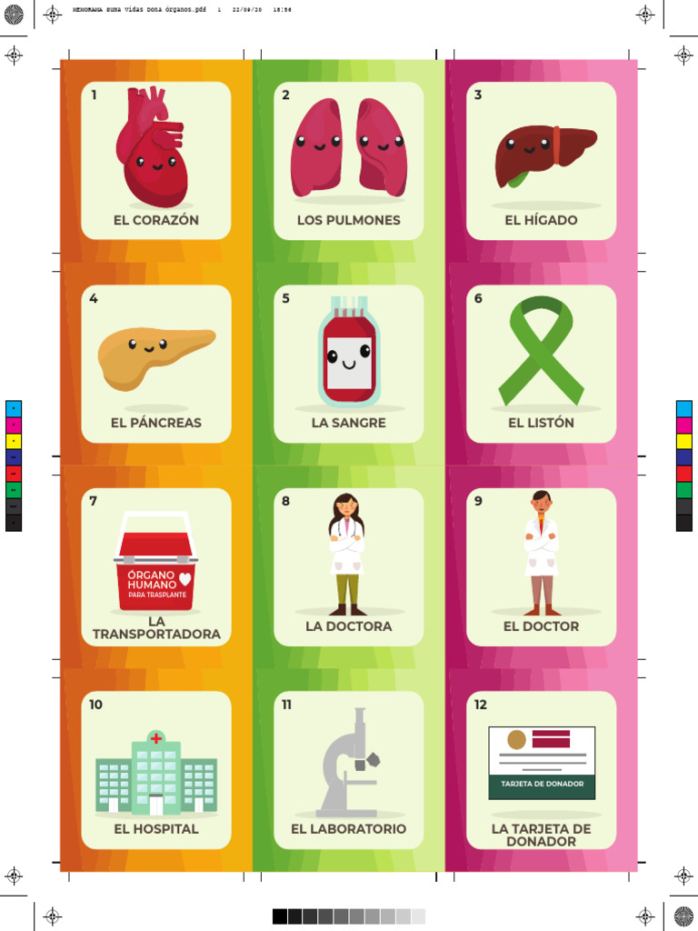 MEMORAMA Suma Vidas Dona Rganos | PDF | Sangre | Órgano (anatomía)