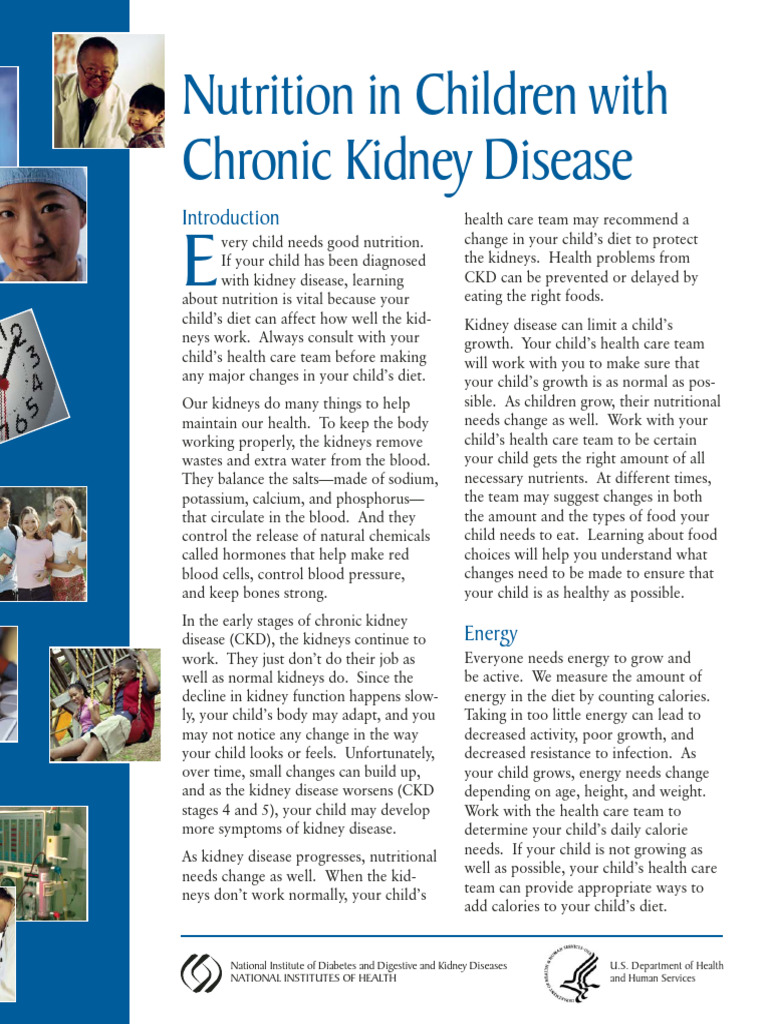 Nutrition in Children With CKD | PDF | Chronic Kidney Disease | Dieting