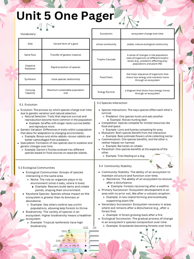 Enviormental Science One Pager Cheat Sheet (3) | PDF | Ecosystem ...