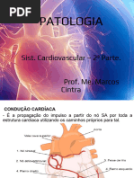 5Hs e 5Ts Da PCR | PDF | Coração | Sangue