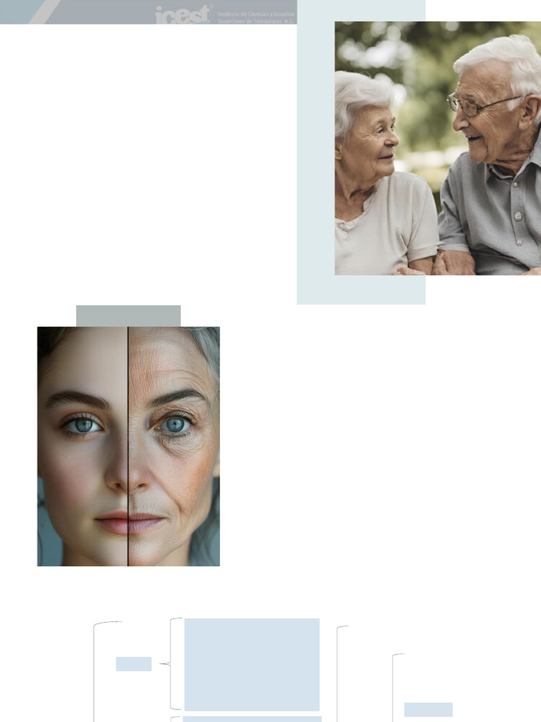 Teorías del envejecimiento | PDF | Senectud | Envejecimiento