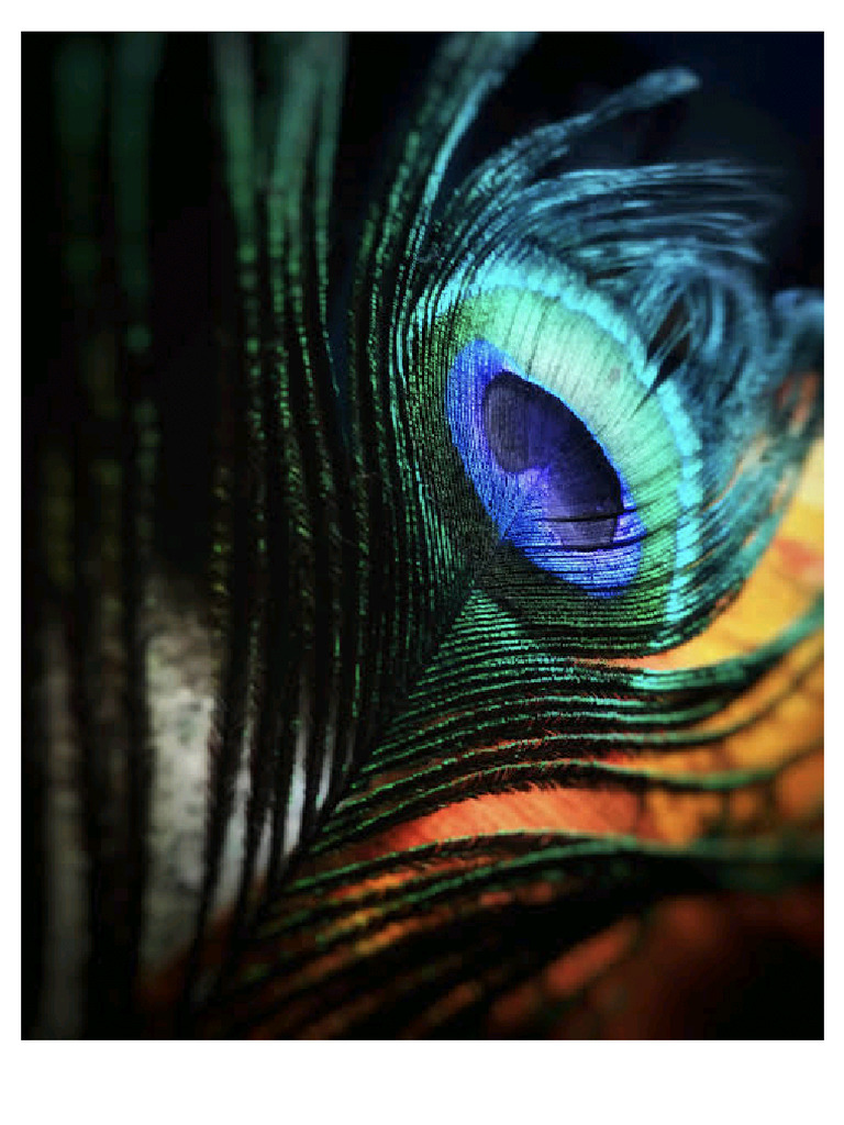 PDFGallery 20250228 101832 | PDF