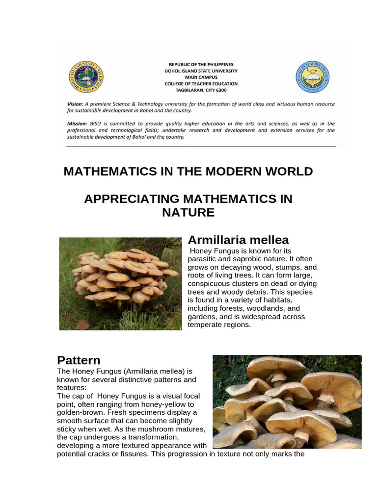 Math in Nature | PDF | Fungus | Ecology