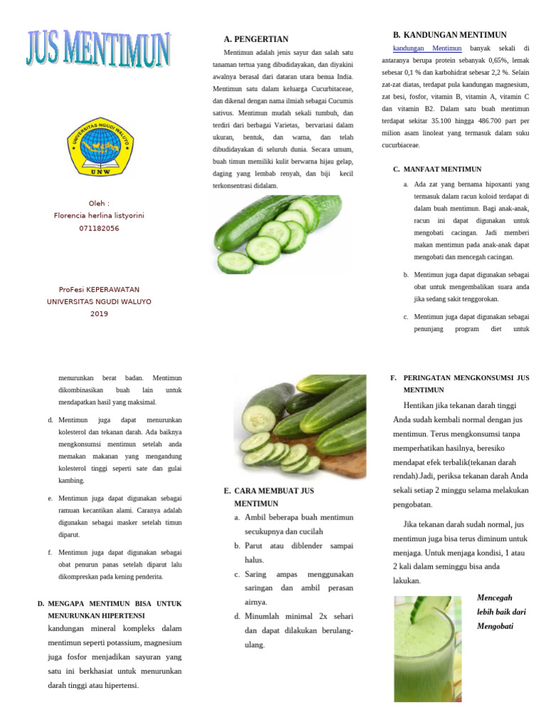 LEAFLET - Jus Mentimun | PDF