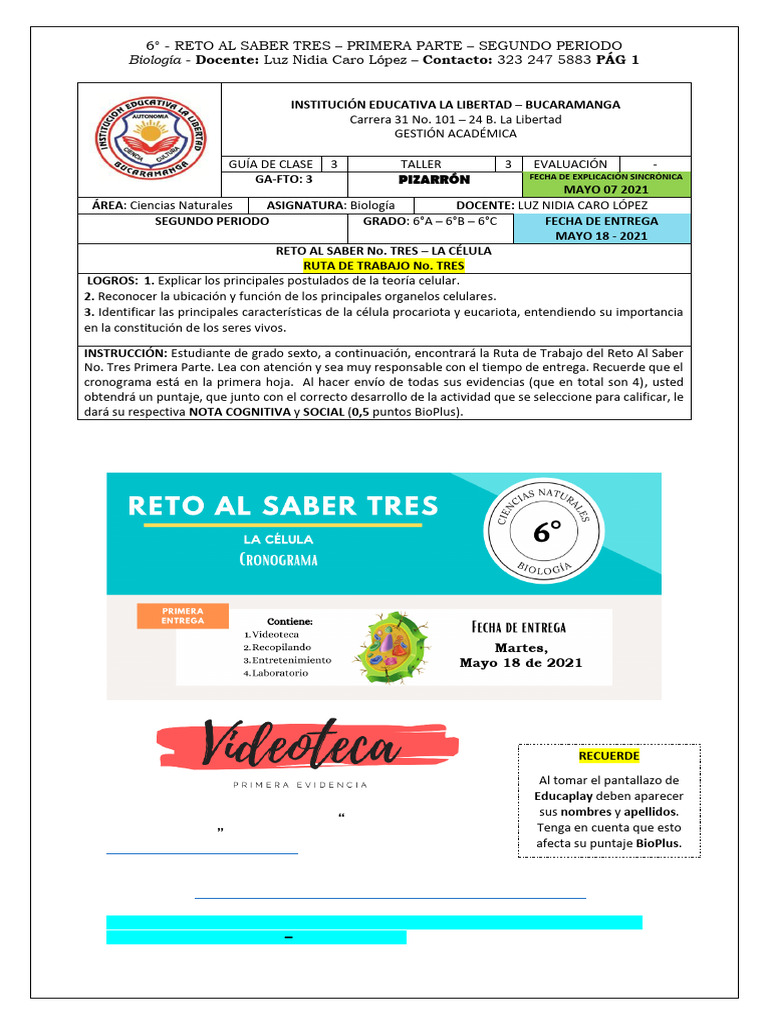 Sexto Reto Tres 1° Parte Pizarron1 | PDF | Biología Celular)