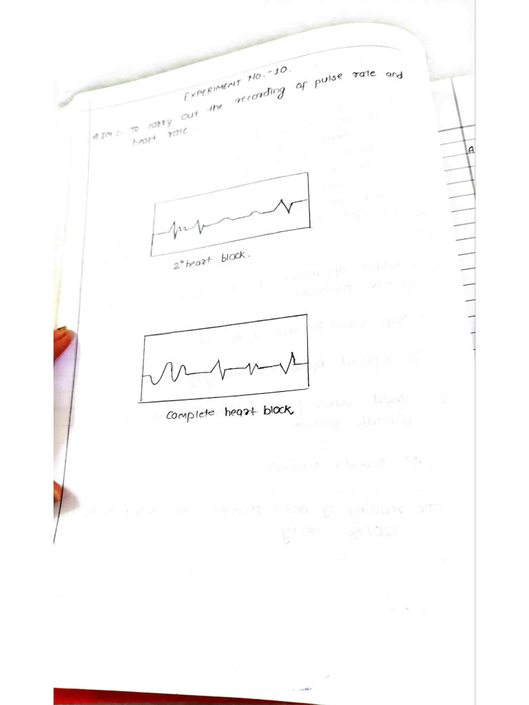 Hap Experiment .No 10 | PDF
