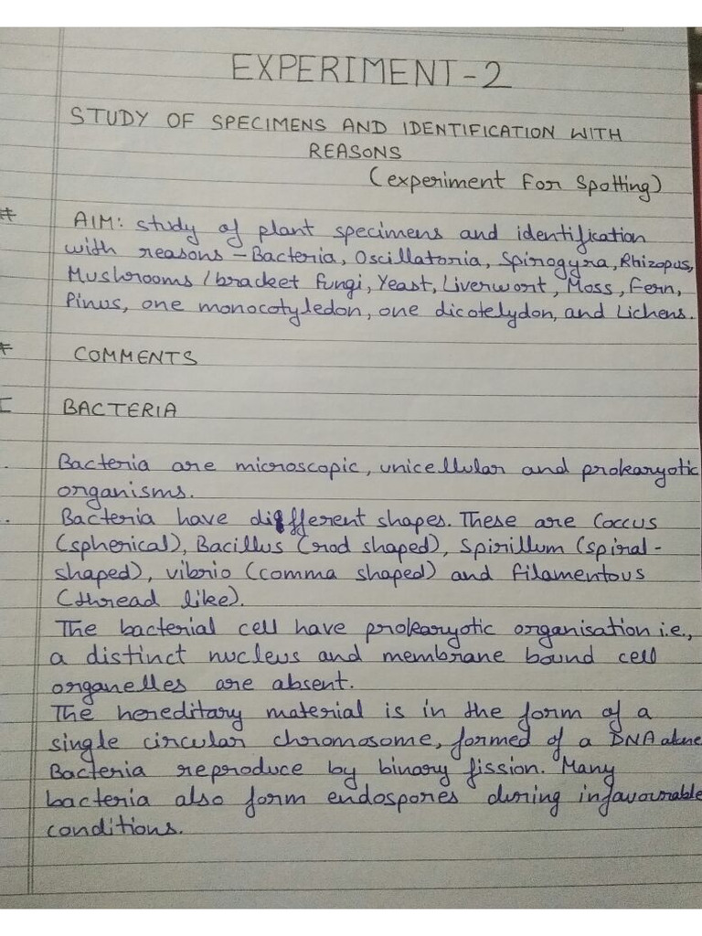 Bio Practical File | PDF