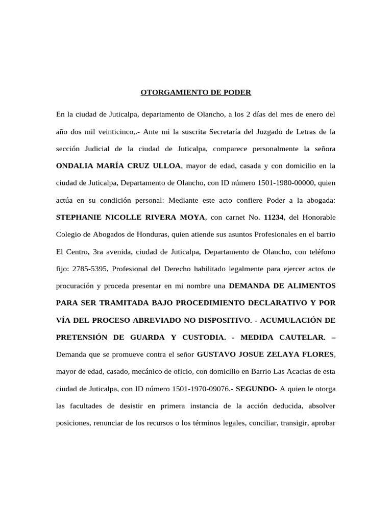 Otorgamiento de Poder | PDF