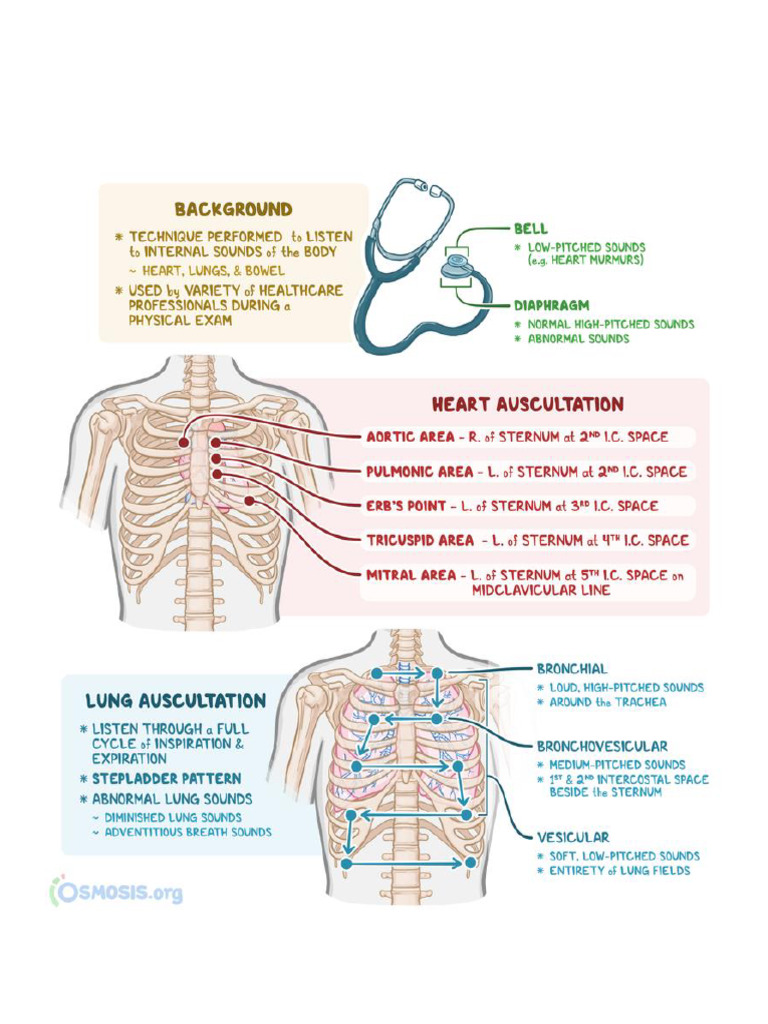 Heart and Lung Auscultation | PDF