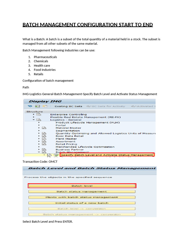 Batch Management Configuration Start To End | PDF