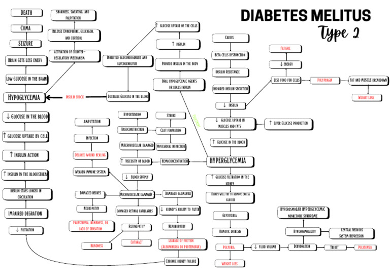 DM Type 2 Pathophysiology - 20250207 - 164603 - 0000 | PDF ...