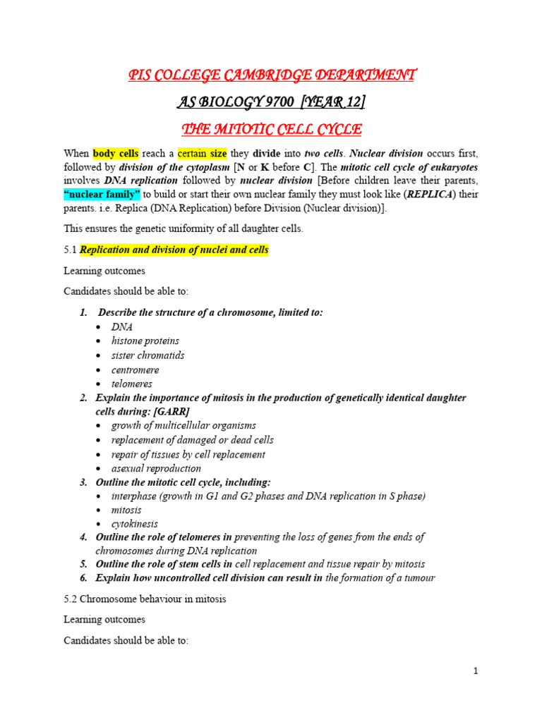 Mitotic Cell Cycle As Biology | PDF | Mitosis | Chromosome