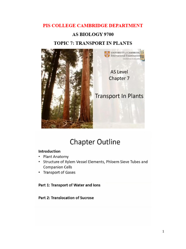 As Bio. Transport in Plants Behlogy | PDF