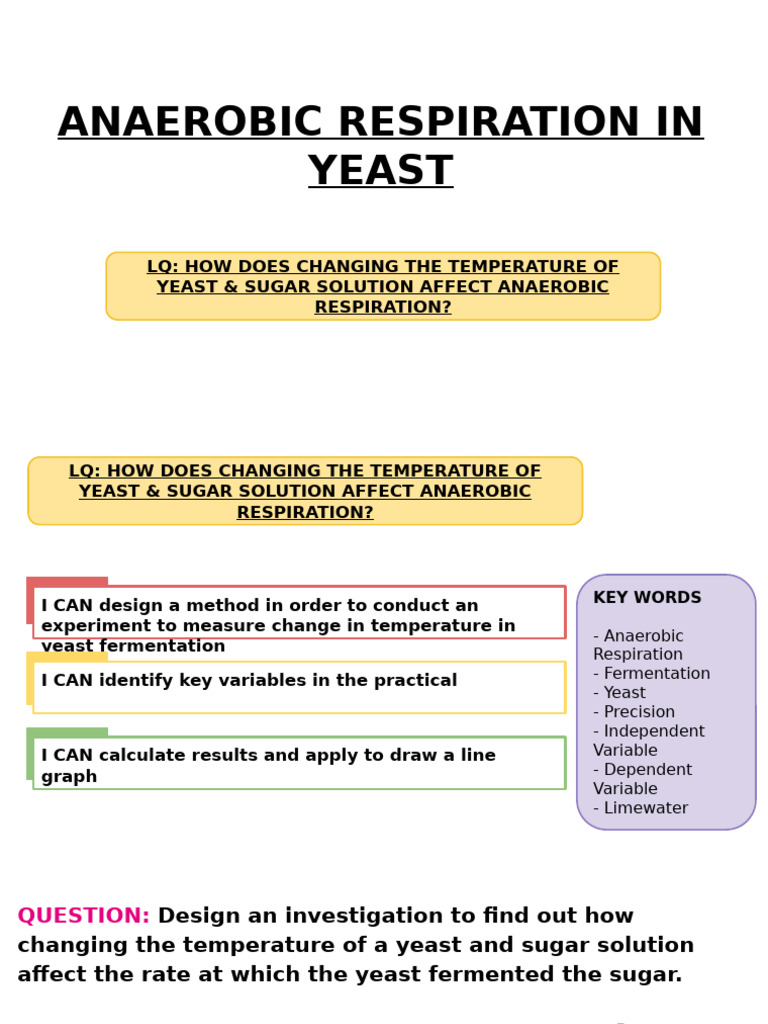 Student Lesson 10 Anaerobic Respiration in Yeast | PDF | Fermentation ...