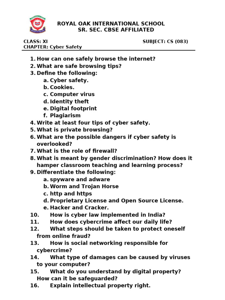 Cyber Safety Guide for Class XI Students | PDF