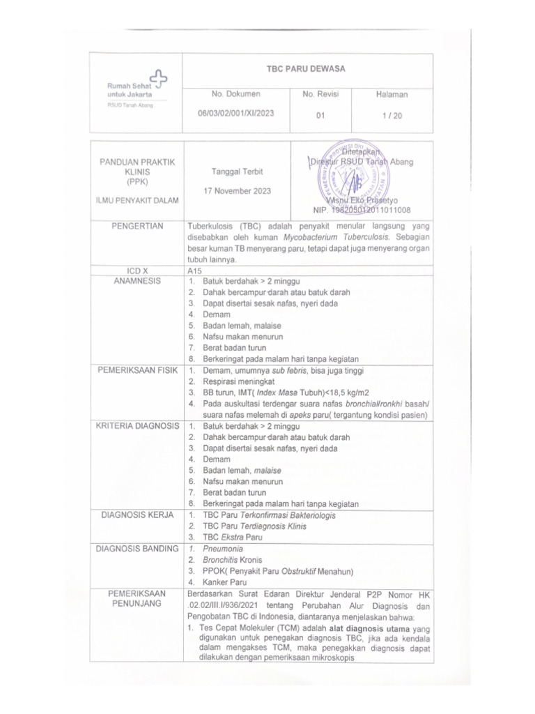 PPK TB Dewasa | PDF