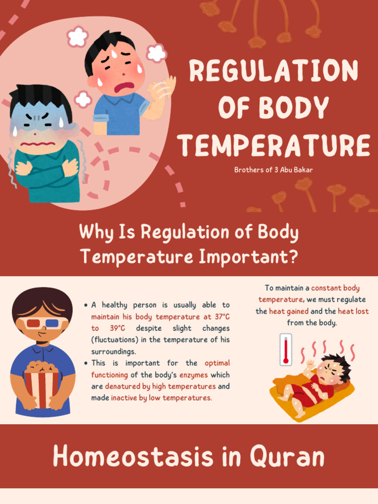 Body Temperature Regulation Explained | PDF | Skin | Vasodilation
