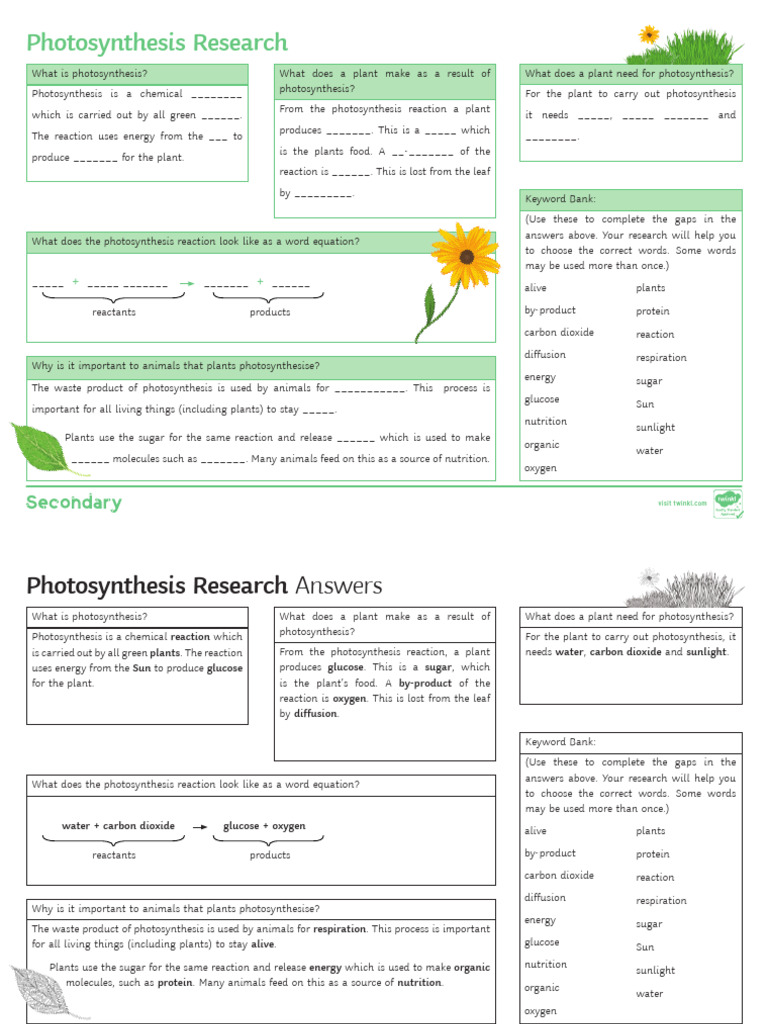 Photosynthesis Research Questions Differentiated LA | PDF ...