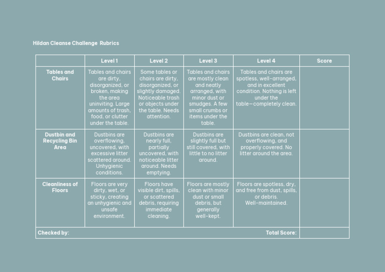 Hildan Sparkle Award Rubrics Final | PDF