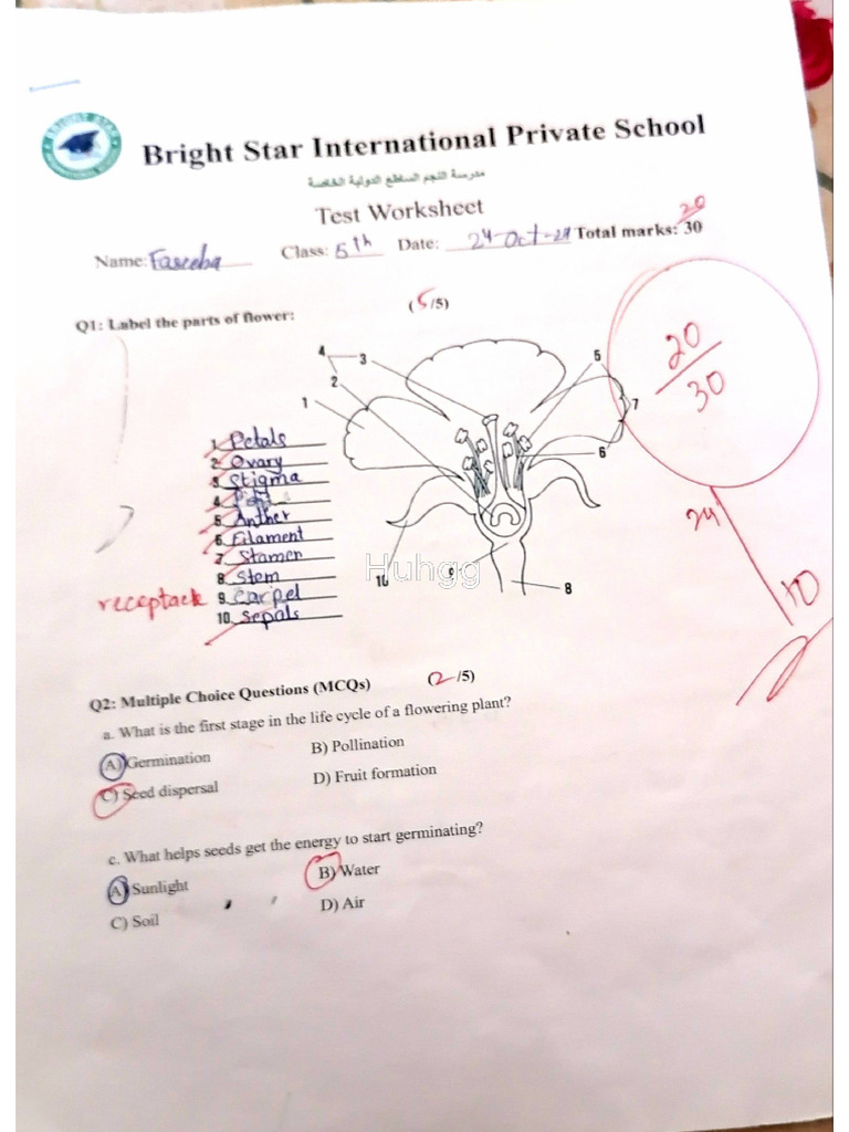 Test of Unit 1 | PDF