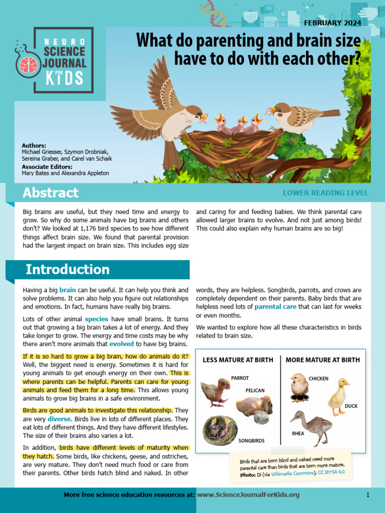 Parental Care and Bird Brain Size | PDF | Birds | Egg