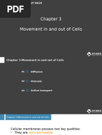 Cellular - Transport - Study - Guide - Answer Key | PDF | Osmosis ...