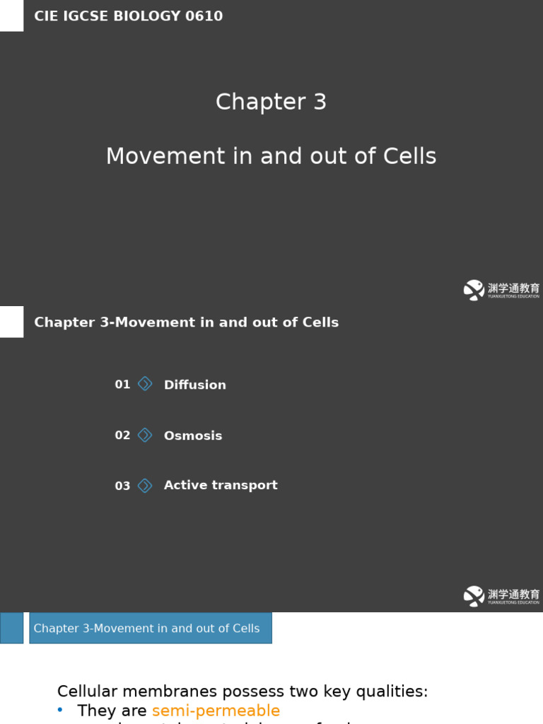 Cell Transport Mechanisms Explained | PDF | Osmosis | Diffusion