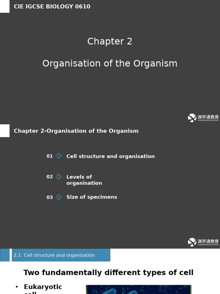 0610-2.Organisation of the Organism | PDF | Cell (Biology ...