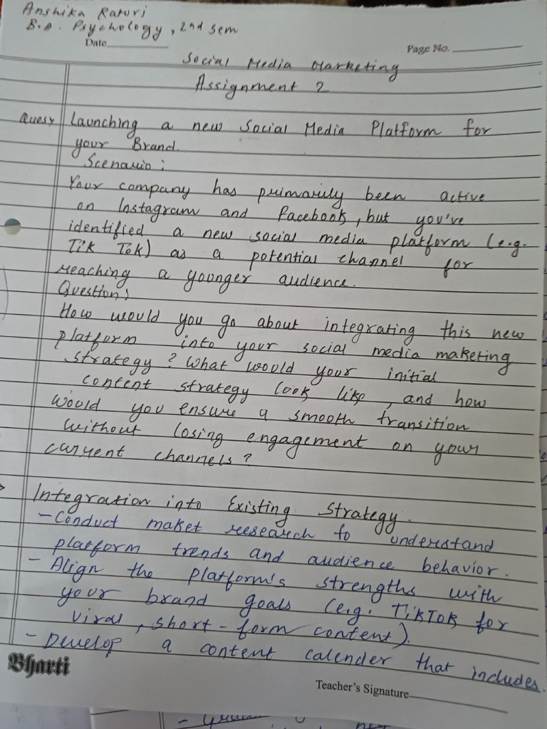 SMM Assignment PDF | PDF