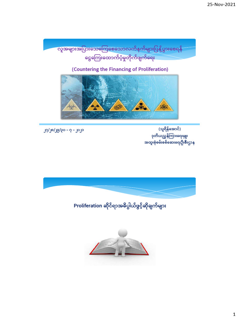 Countering the Financing Proliferation | PDF