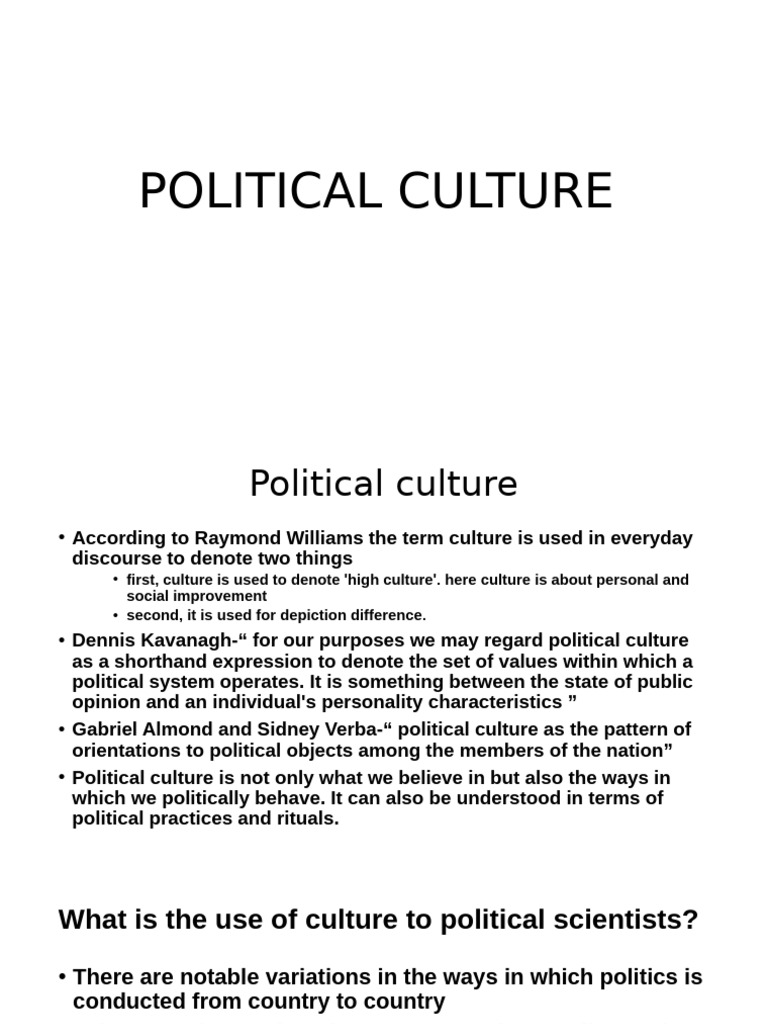 Political Culture 015610 | PDF | Ideologies | Behavioural Sciences