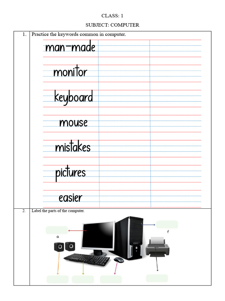 Computer Basics for Beginners | PDF