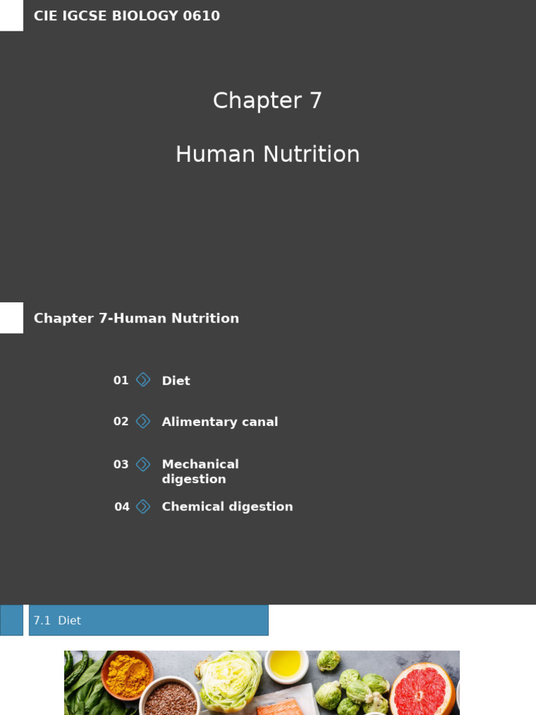 0610-7.Human Nutrition | PDF | Digestion | Stomach