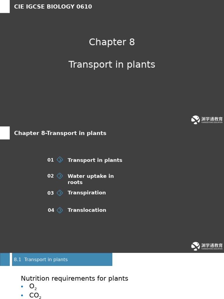 0610-8.Transport in plants | PDF | Stoma | Root