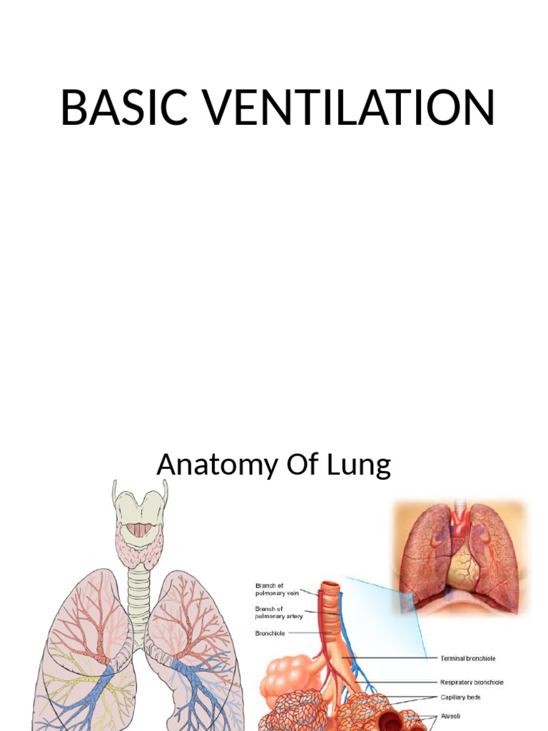 Ventilation Guide for Clinicians | PDF