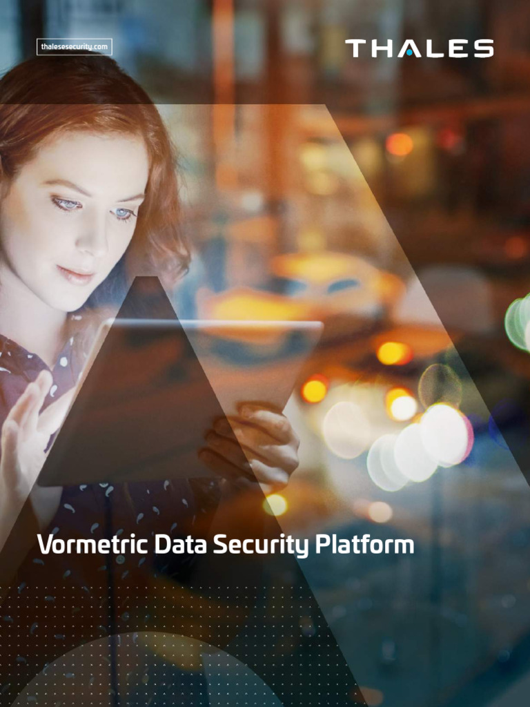 Thales ESecurity Vormetric Data Security Platform | PDF | Cloud Computing | Databases