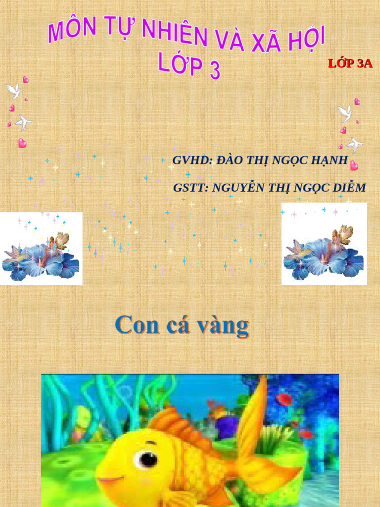 TNXH L P 3 Bài Cá | PDF