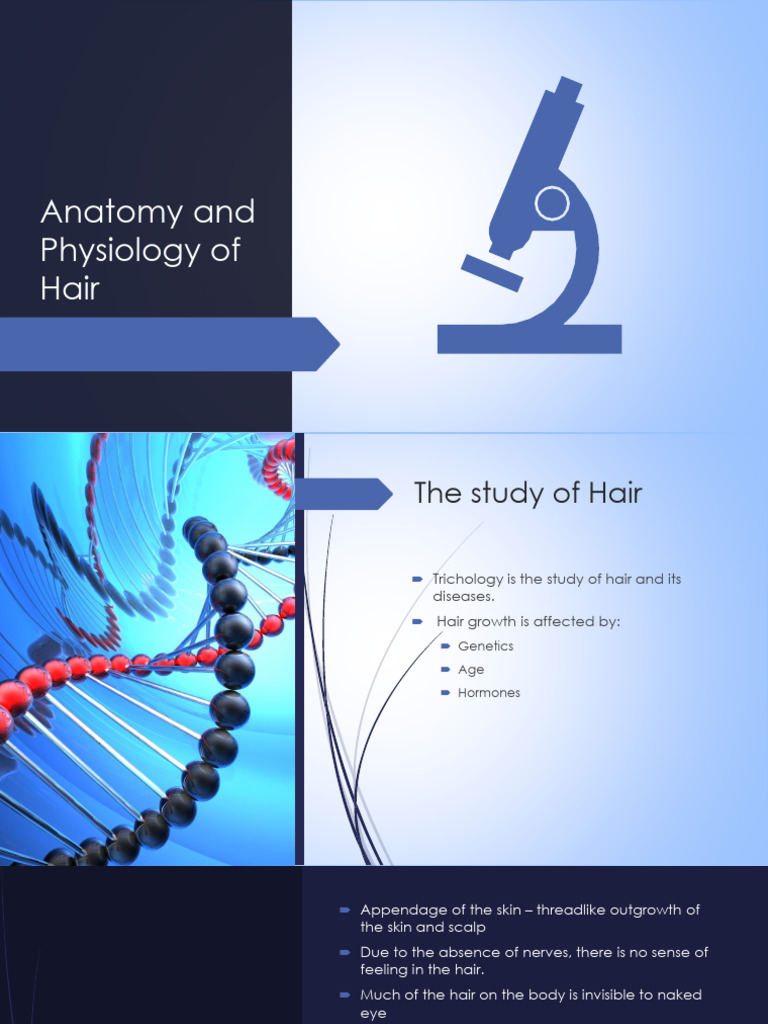 Anatomy and Physiology of Hair | PDF | Hair | Skin