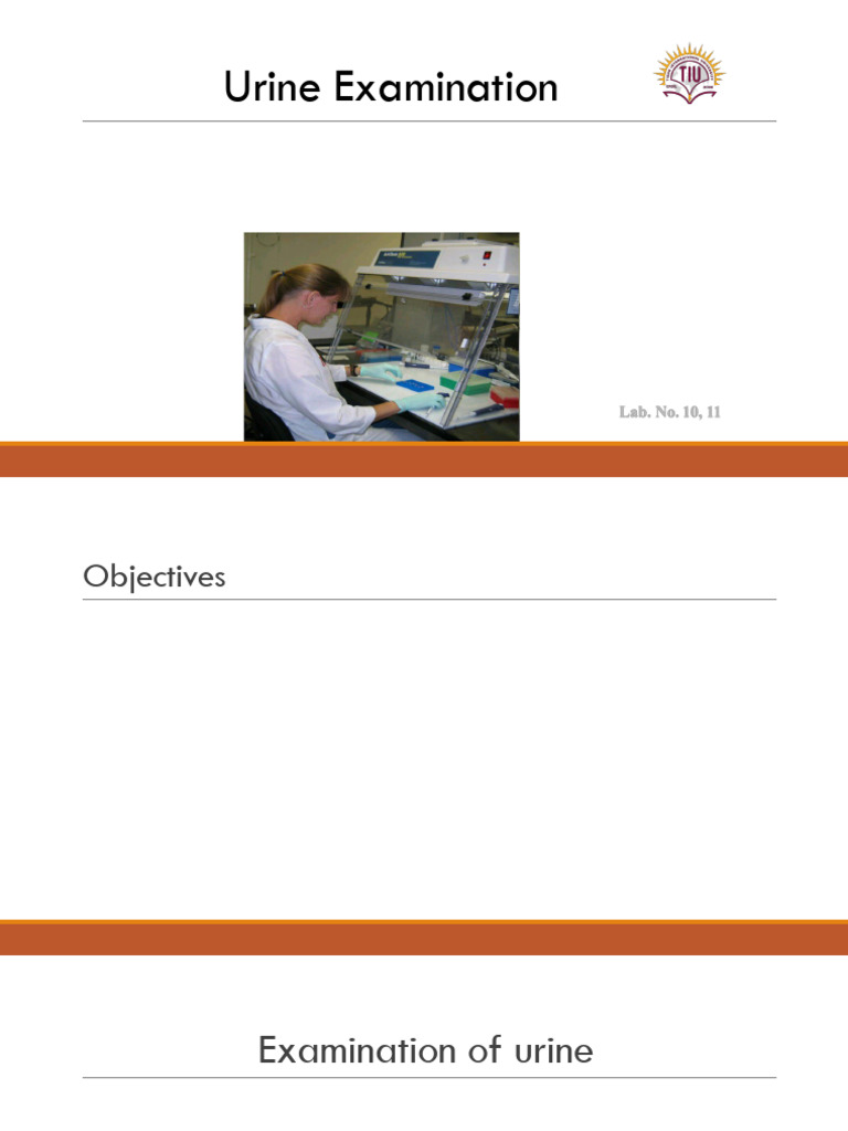 Lab 10 11 Urine Examination | PDF | Urine | Urinary Tract Infection