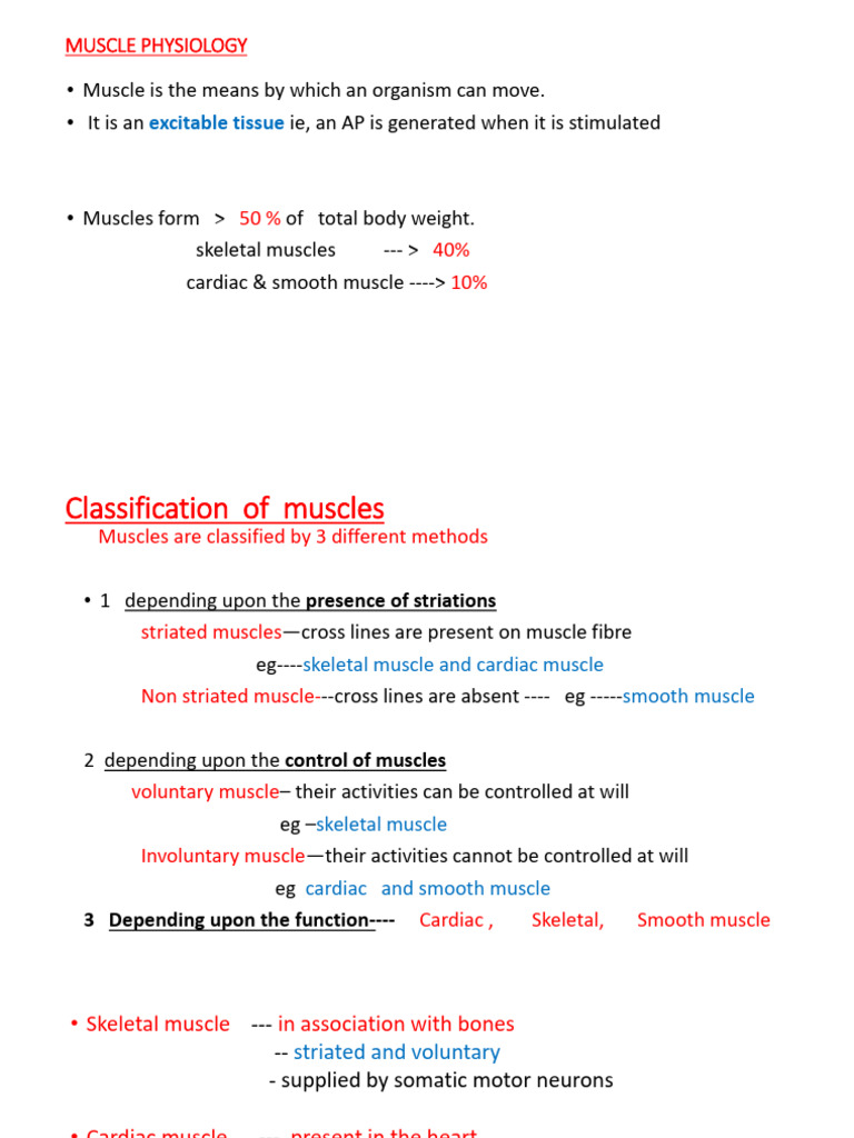 Understanding Muscle Physiology Basics | PDF | Muscle Contraction ...