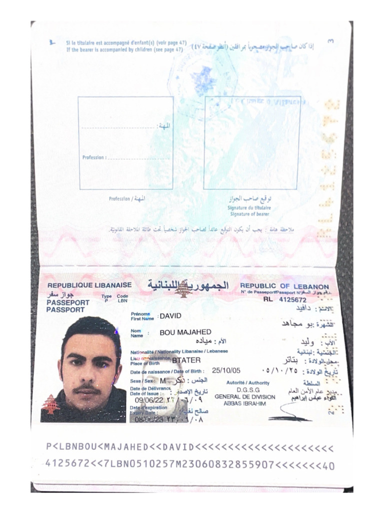 David's Passport | PDF