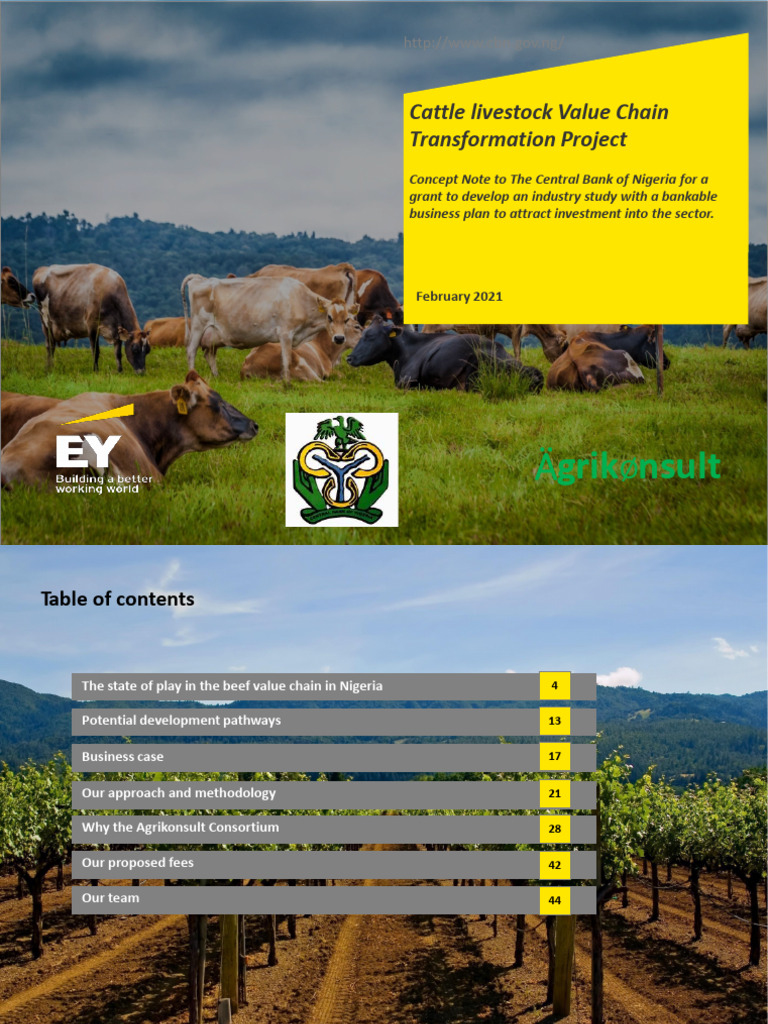 Cattle Livestock Value Chain Transformation_Agrikonsult-EY Central Bank ...