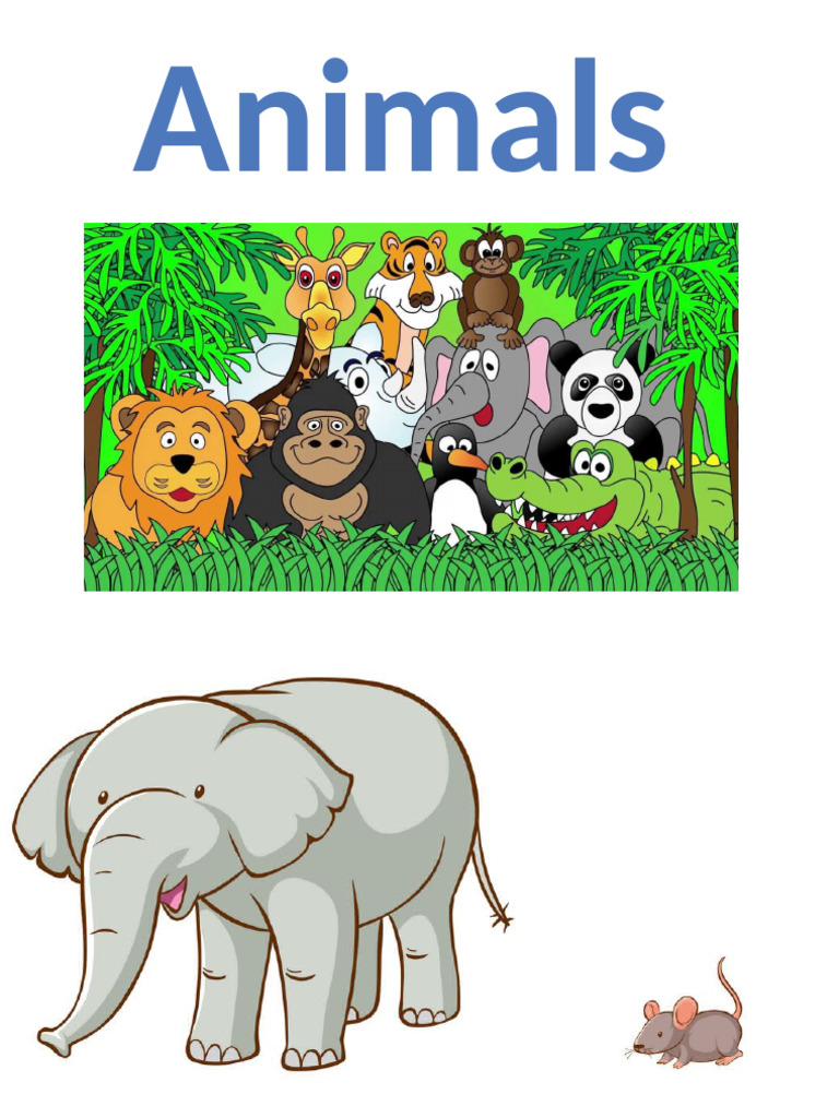 Animal Types and Favorites List | PDF