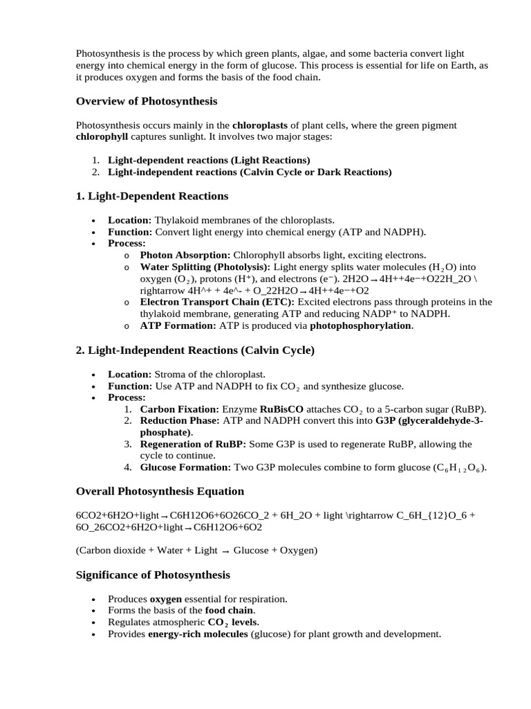 Understanding Photosynthesis Process | PDF